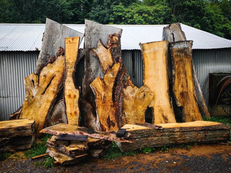 Live Edge Maryland – Live edge slabs and rounds • Built-to-order ...