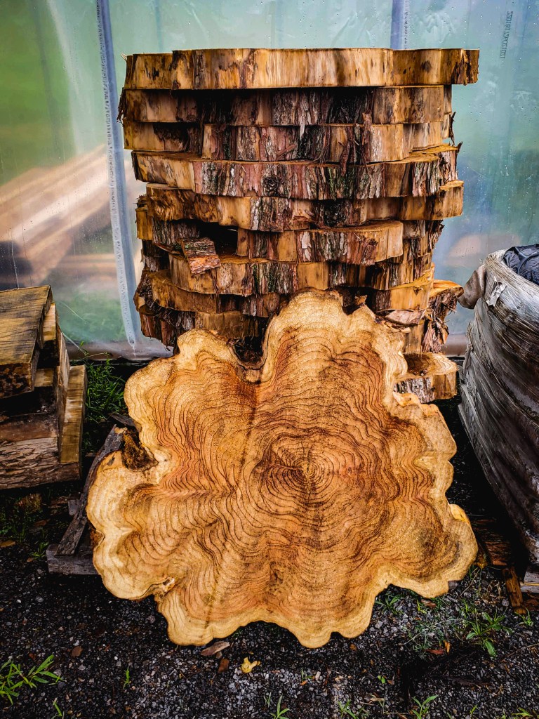 Live Edge Maryland – Live edge slabs and rounds • Built-to-order ...