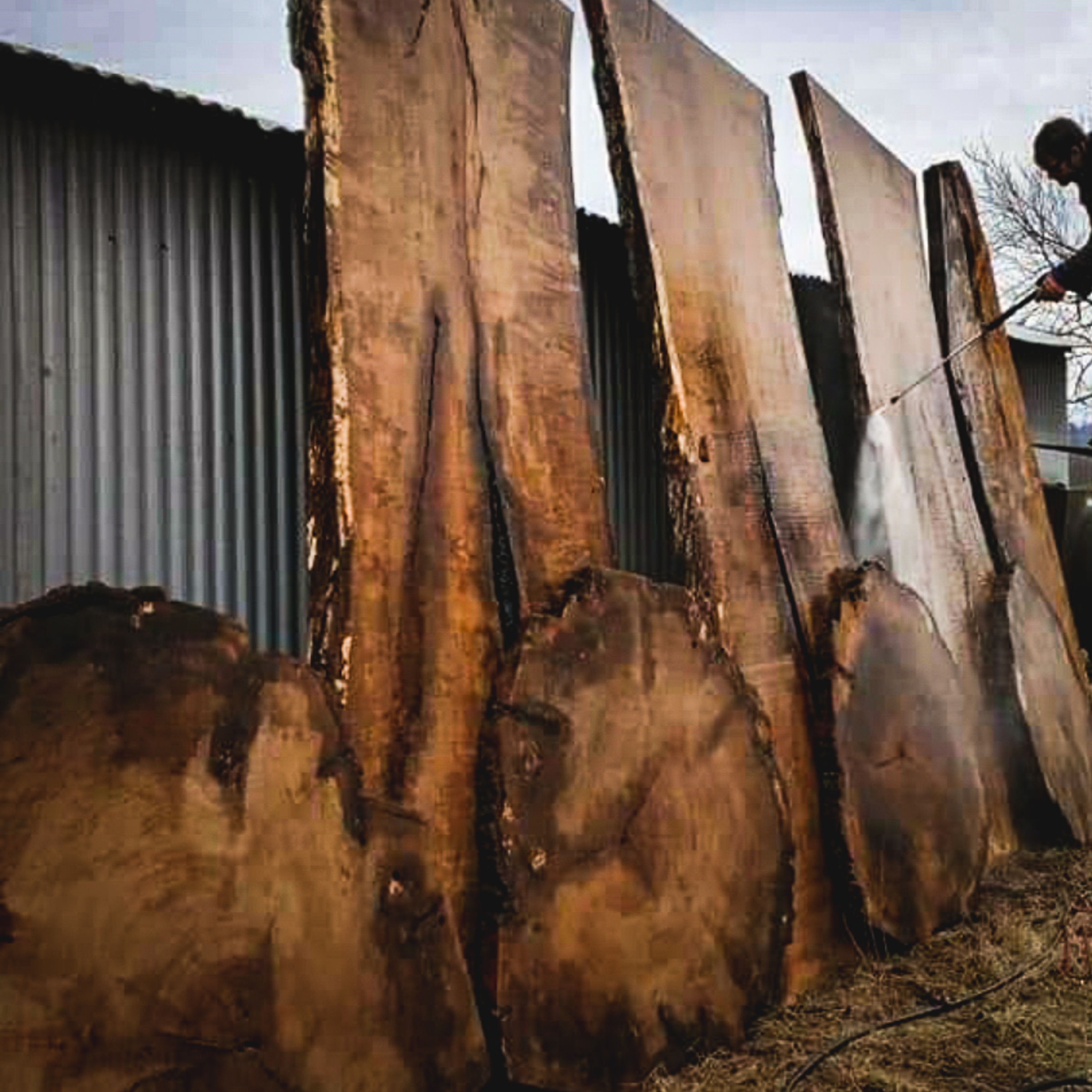 Live Edge Maryland – Live edge slabs and rounds • Built-to-order ...